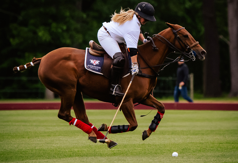 Pink Polo | Farmington Polo Club